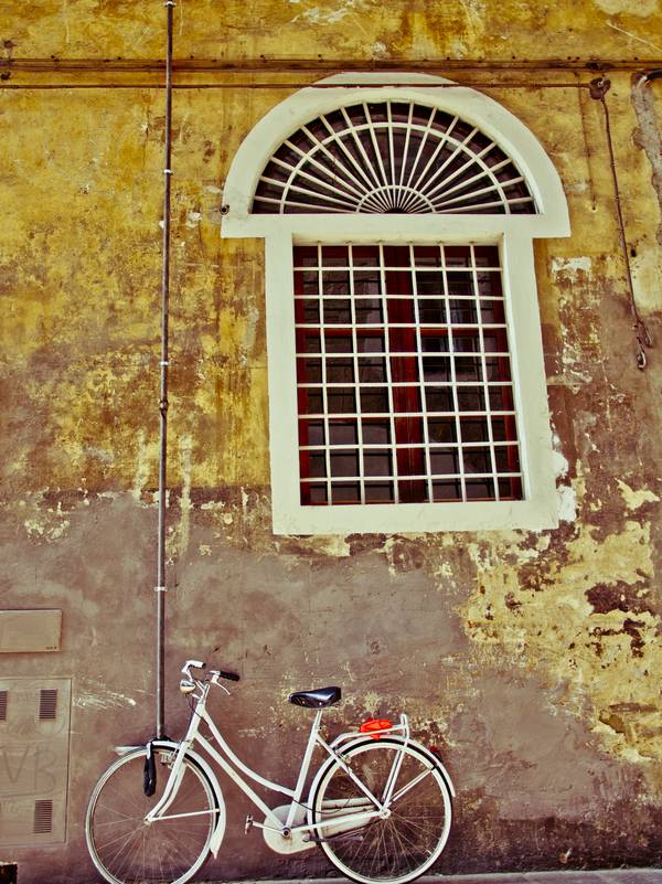 Florentine Bicycle on Wall by Sivan Askayo on Artfully Walls | Artfully ...