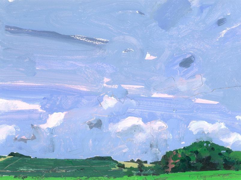 June Fields by Harry Stooshinoff on Artfully Walls | Artfully Walls