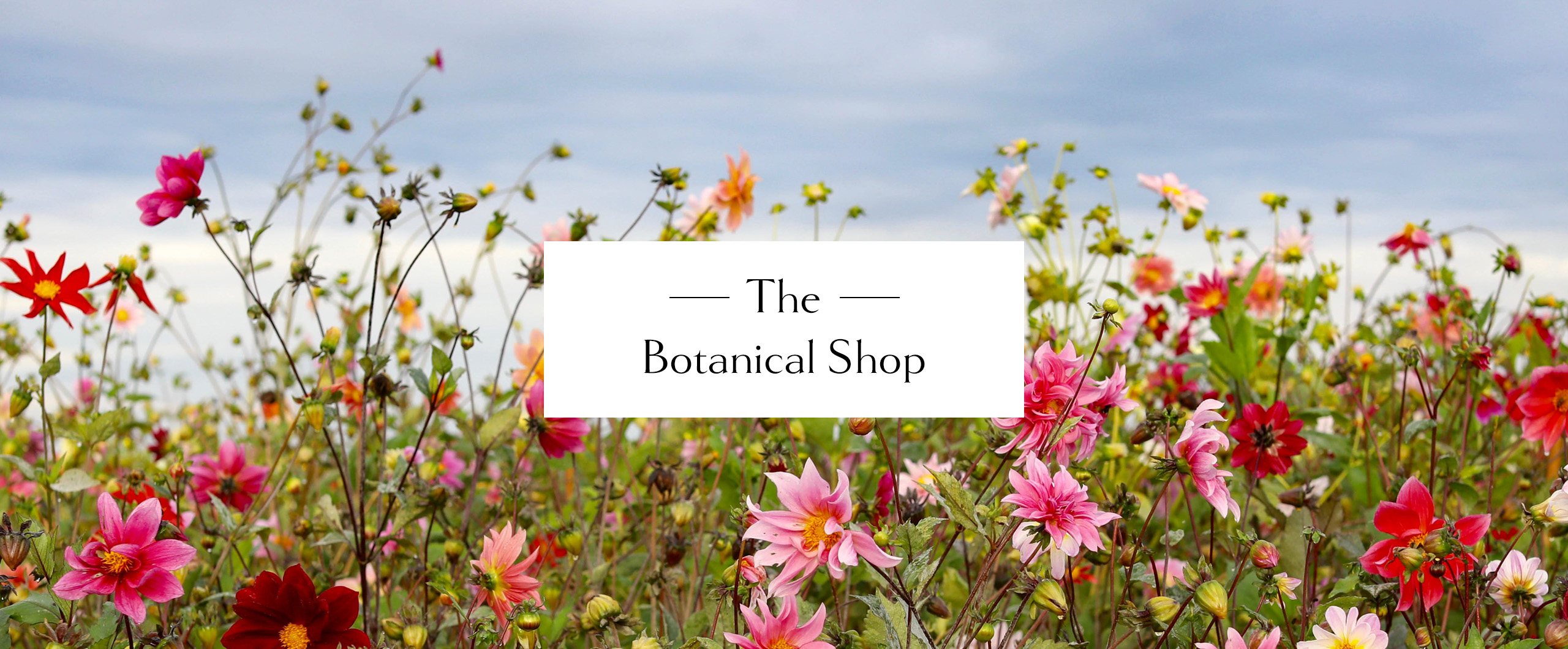 The Botanical Shop | Artfully Walls