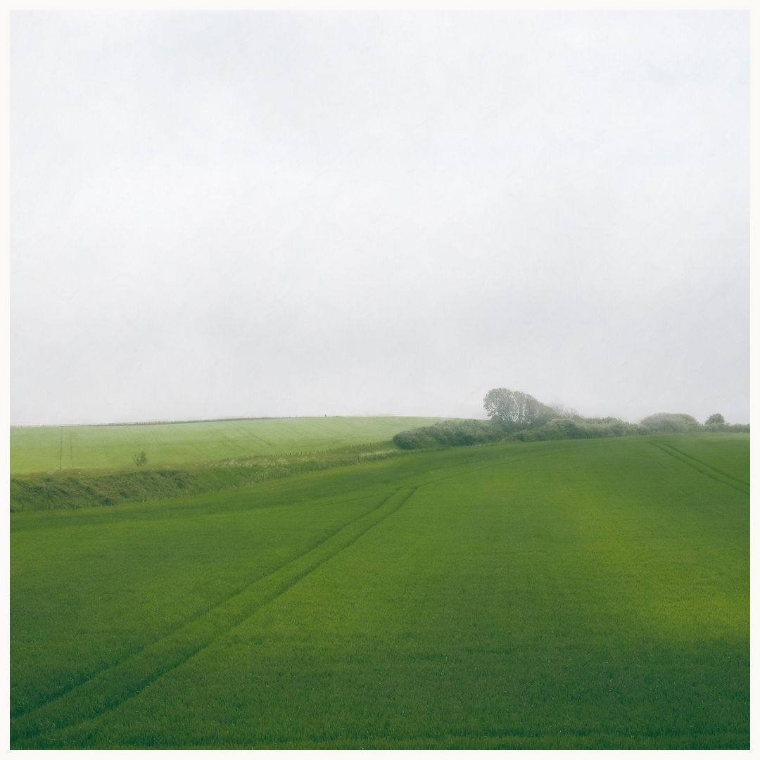 Lynann Colligan | Artfully Walls