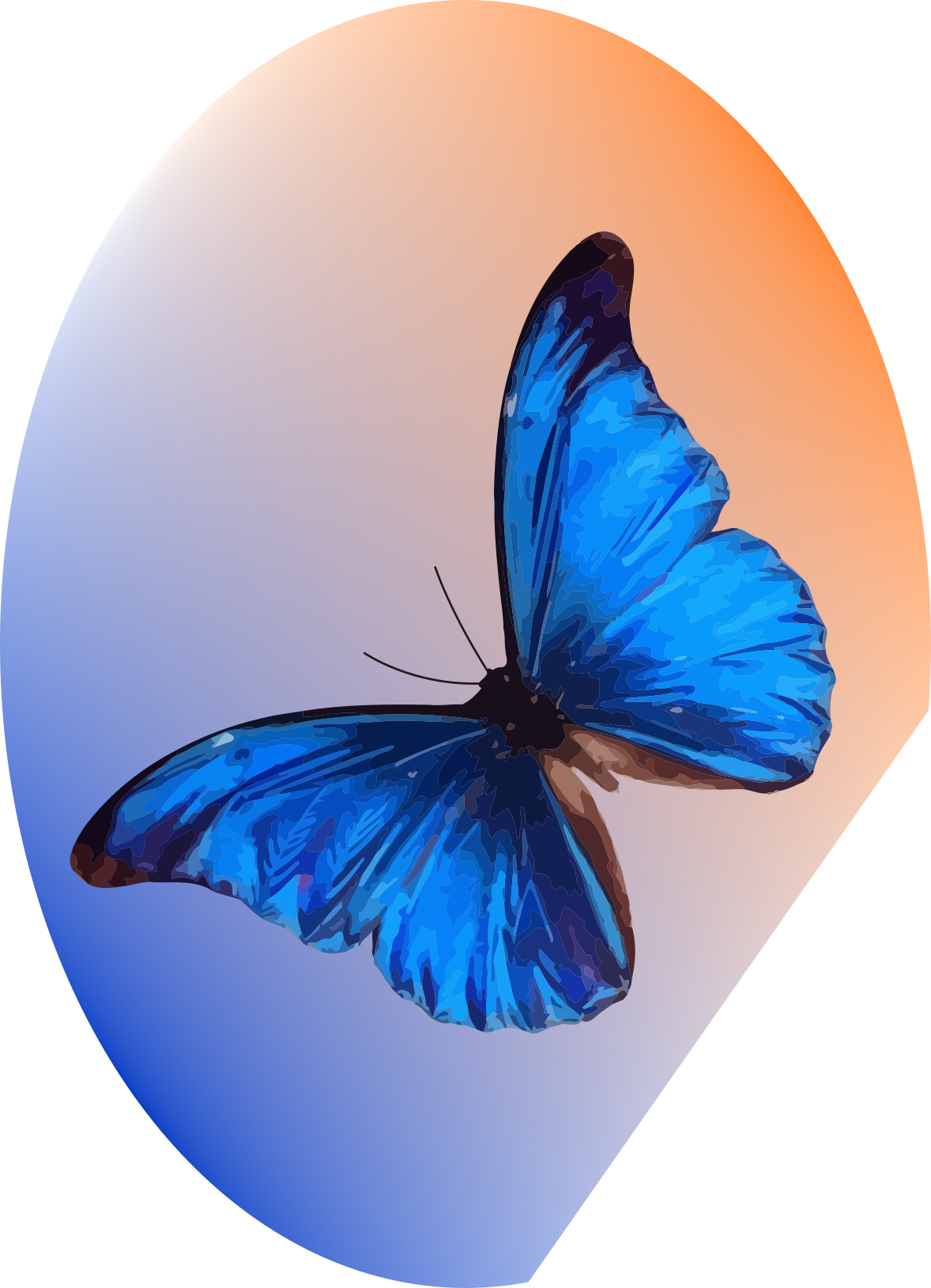 Ruth Monroe - Alpenglow Workshop | Artfully Walls