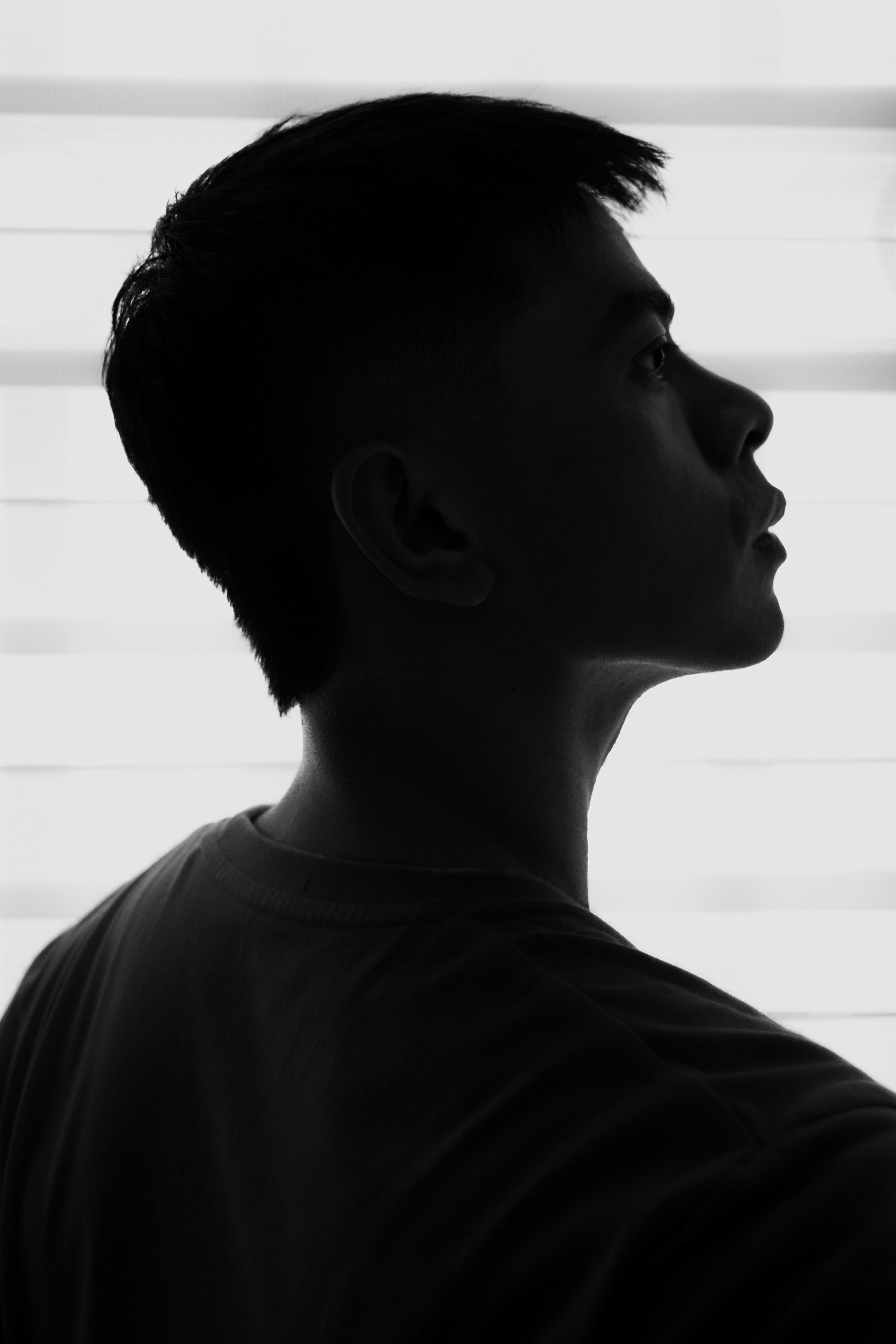 Ed Pineda | Artfully Walls
