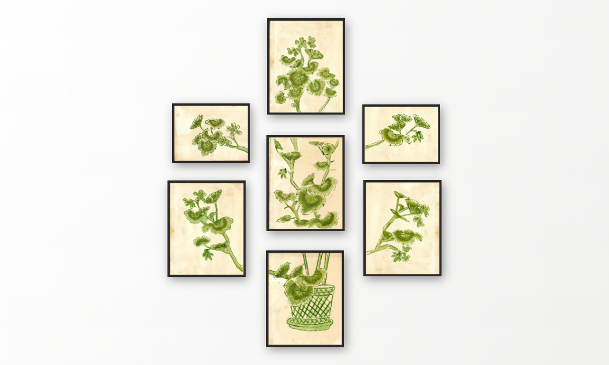 Geranium Study | Artfully Walls