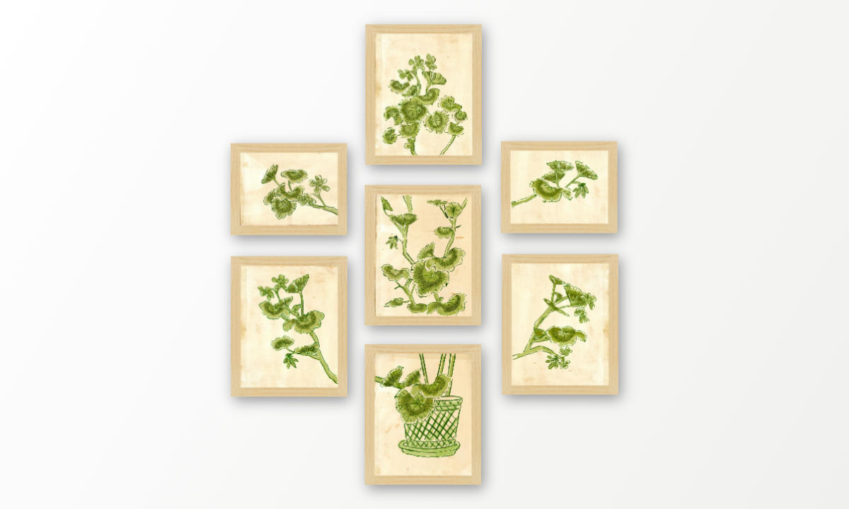 Geranium Study | Artfully Walls