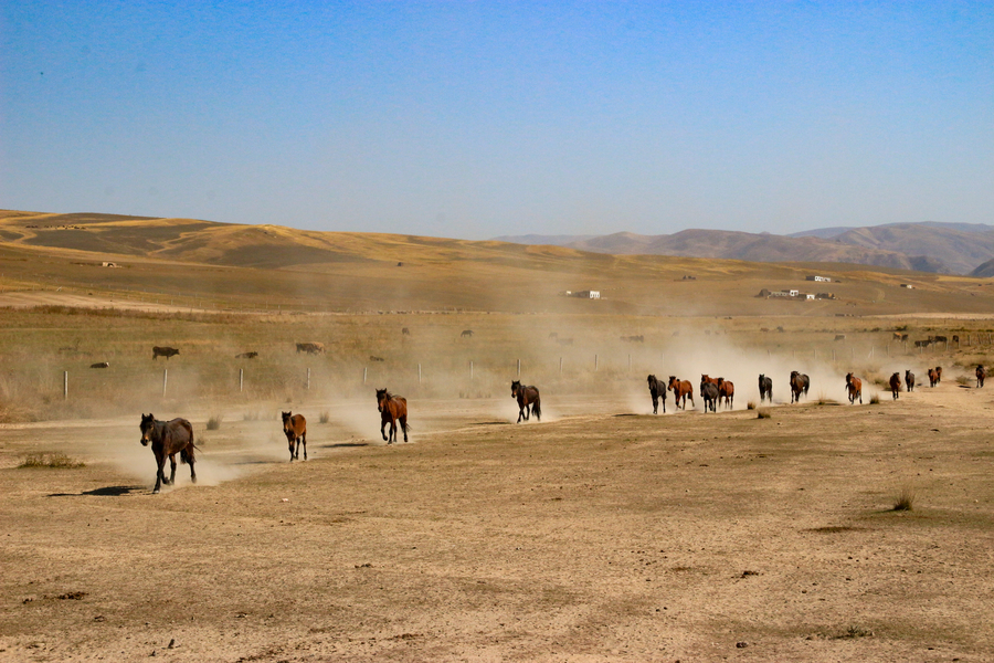 The Journey by Phil Zhang on Artfully Walls | Artfully Walls