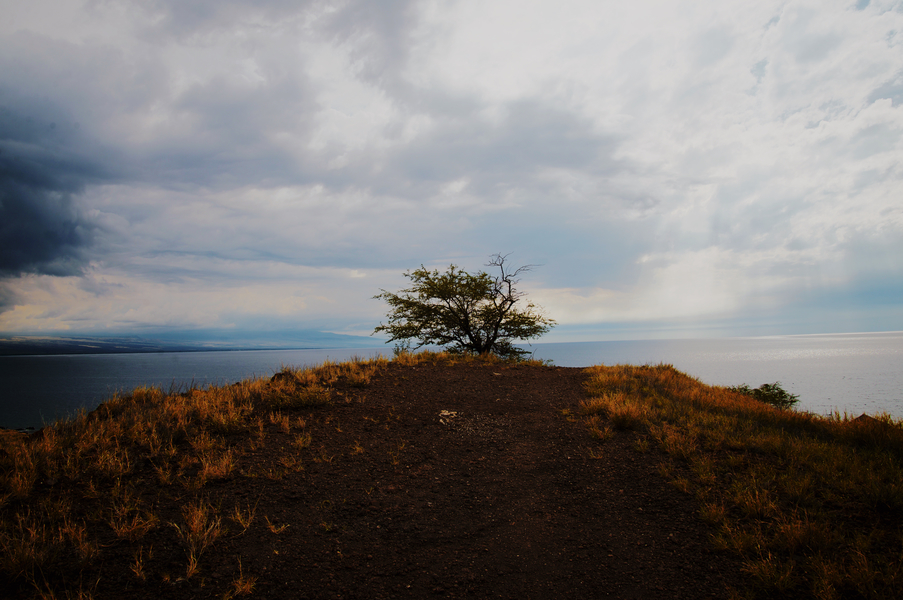 To the Point by Matt Gragg on Artfully Walls | Artfully Walls