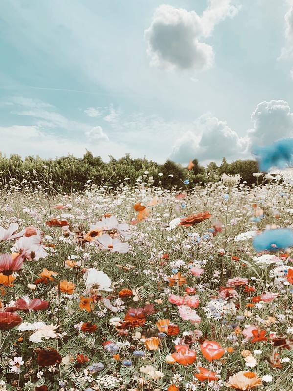 Muted Autumn Tones by Siobhan O’Dwyer on Artfully Walls | Artfully Walls