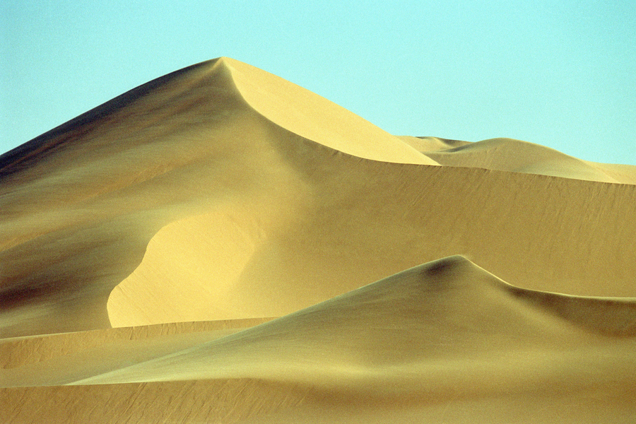 Some Yellow Sahara by Ronnie Dankelman on Artfully Walls | Artfully Walls