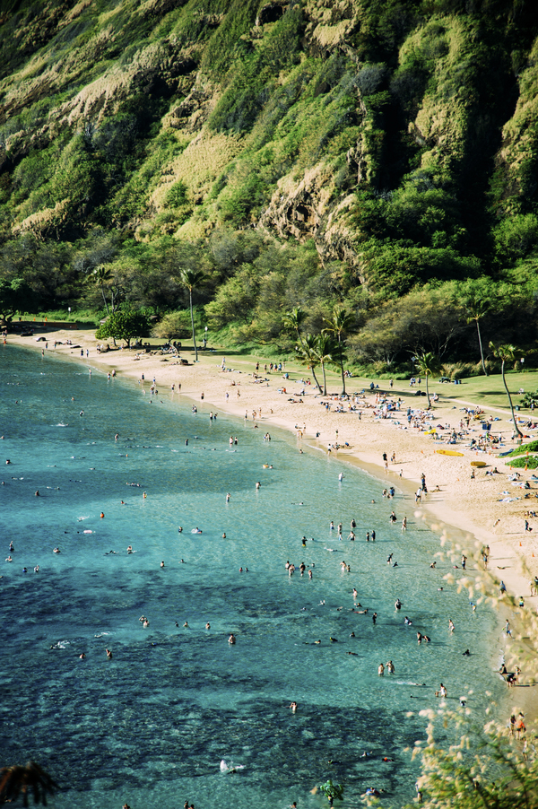 Beachside in Oahu, Hawaii by Tracy Kennberg on Artfully Walls ...