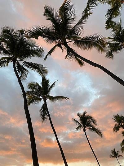 Guardians of the Beach by Matt Gragg on Artfully Walls | Artfully Walls