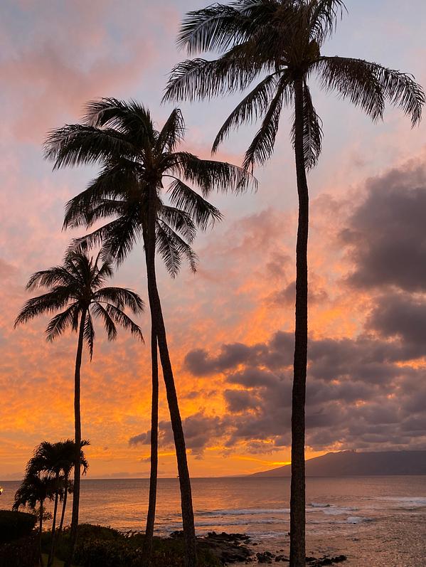 Elements of Hawaii Nature Series - Maui Sunset by Matt Gragg on ...