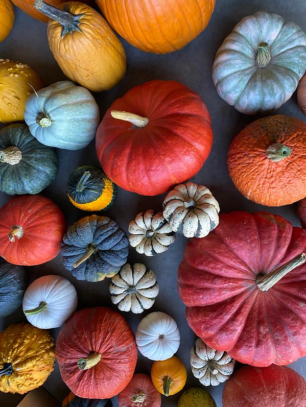 Pumpkin Parade by Matt Gragg on Artfully Walls | Artfully Walls