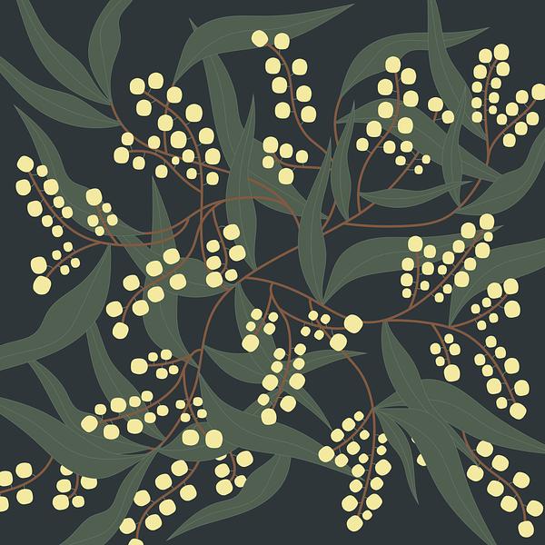 Moonlight Wattle by Angie Wise on Artfully Walls | Artfully Walls