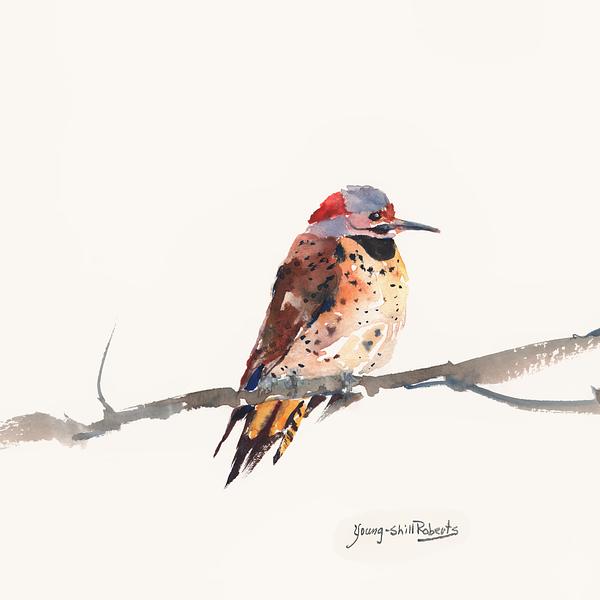 Northern Flicker by Young-Shill Roberts on Artfully Walls | Artfully Walls