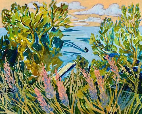 Channel Islands National Park by Eleanor Baker on Artfully Walls ...