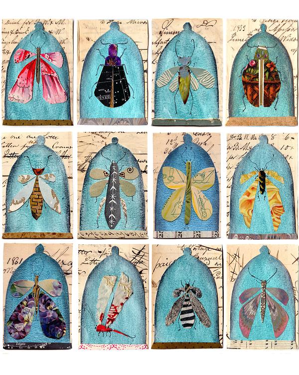insects in bell jars by Susan Farrington on Artfully Walls | Artfully Walls
