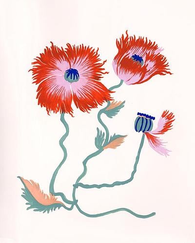 Frilly Poppy by Sarah Gordon on Artfully Walls | Artfully Walls