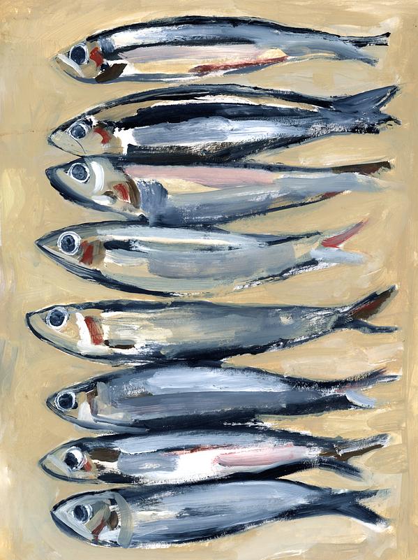 Sardines Sur Paper by Katie Ré Scheidt on Artfully Walls | Artfully Walls