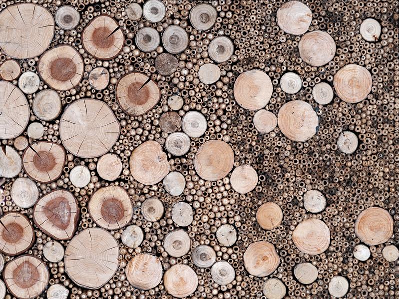 Circular Wood Array by Assaf Frank on Artfully Walls | Artfully Walls