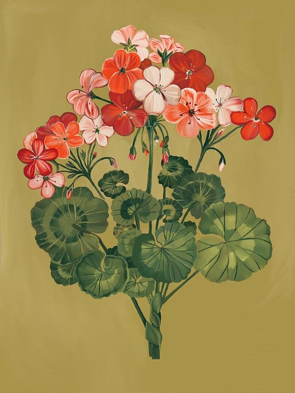Geranium Study by Ruti Shaashua on Artfully Walls | Artfully Walls