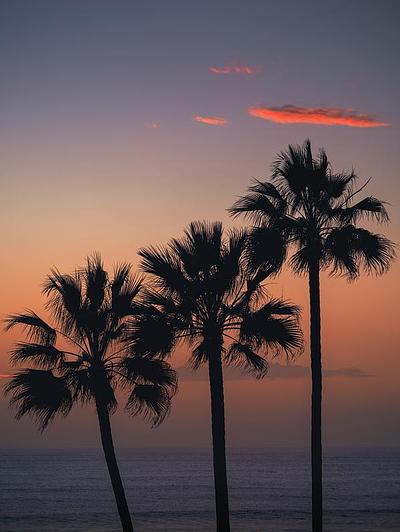 Pacific Colors by Jens Ochlich on Artfully Walls | Artfully Walls